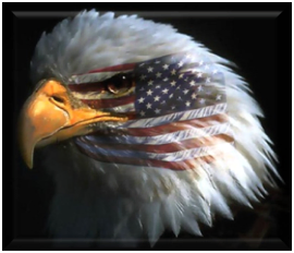 Veterans Tactical Solutions dba VTS Security