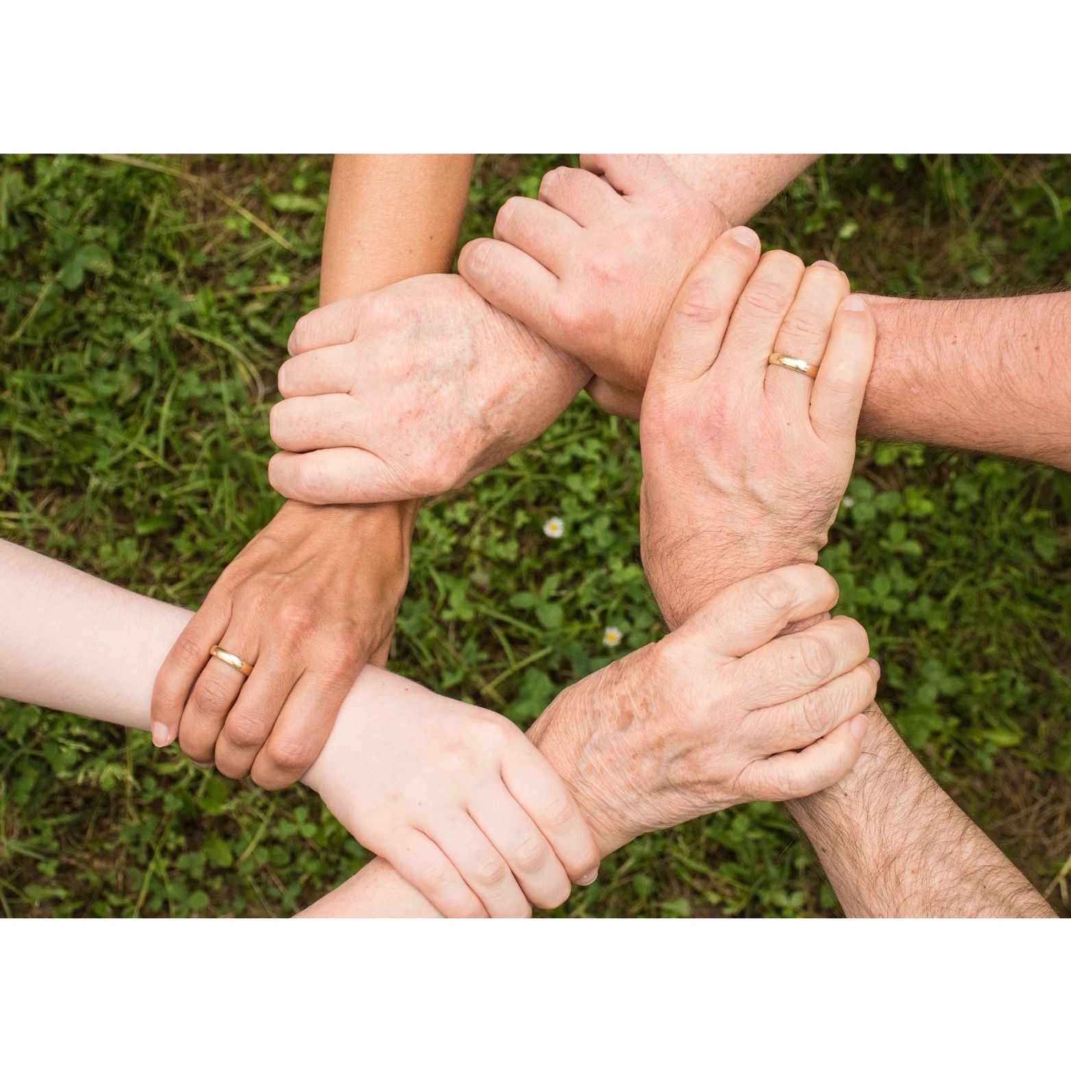 Current Initiatives | Church and Community Partnership (CCP) in Tynedale