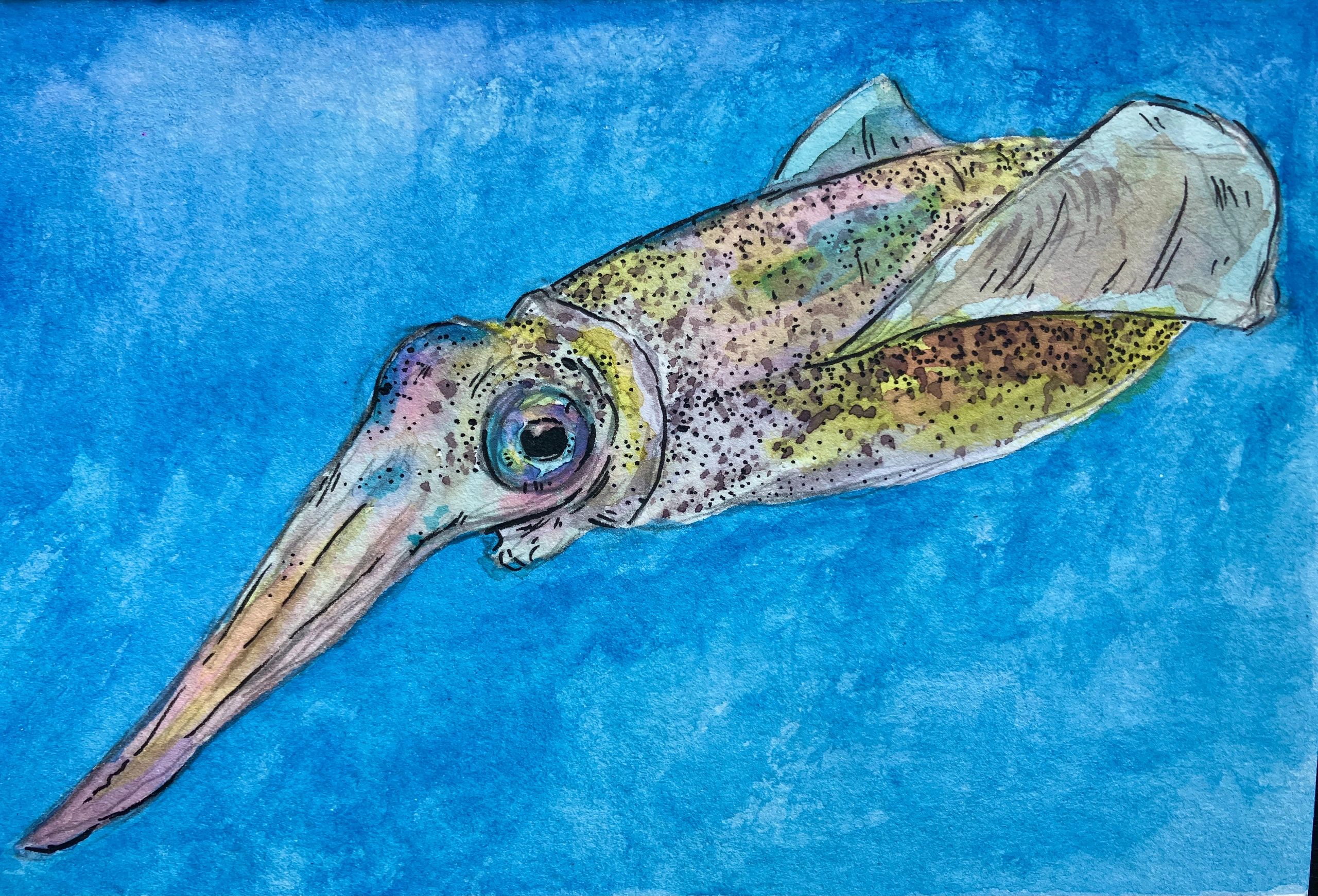 AP Drawing Portfolio