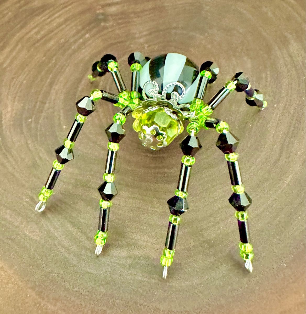 Medium Beetle Twisted Spider