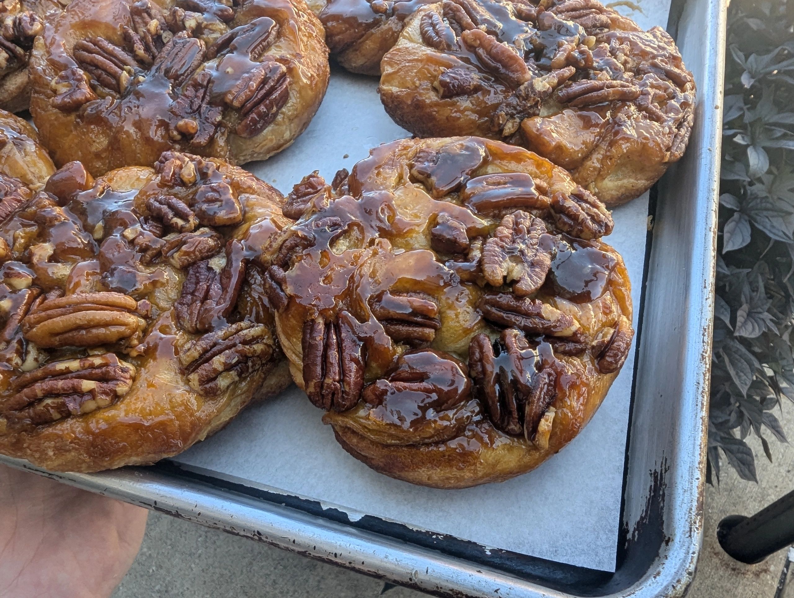 Micro-Bakery - Sweet Mary's Bakery, Ltd.