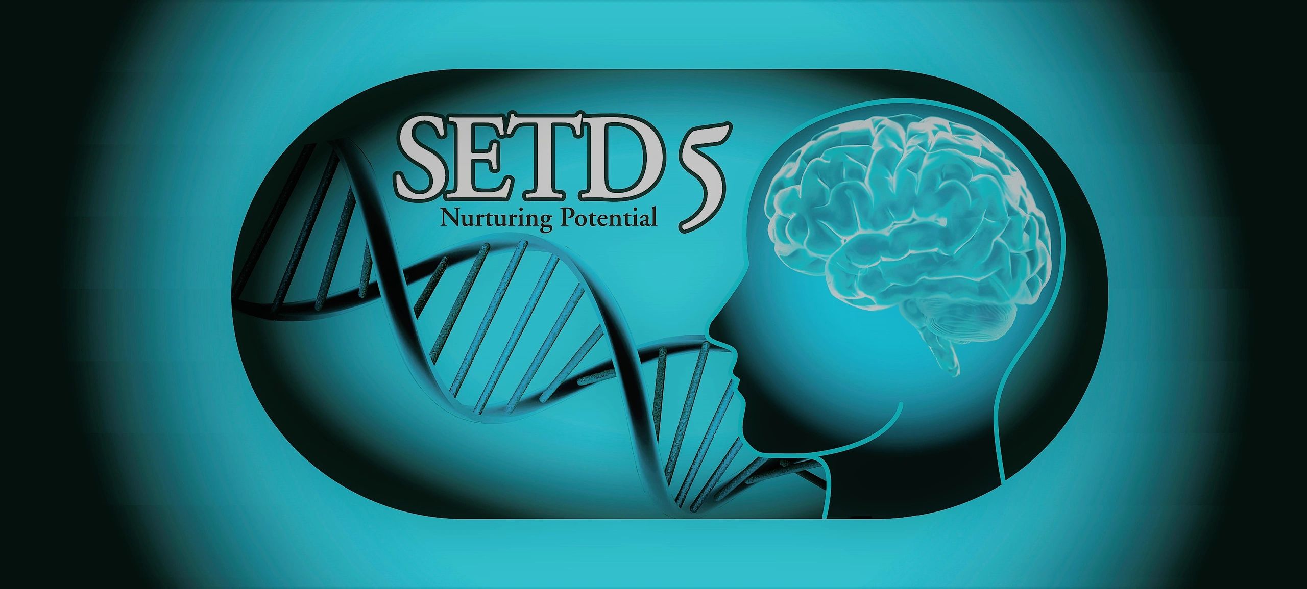 SETD 5