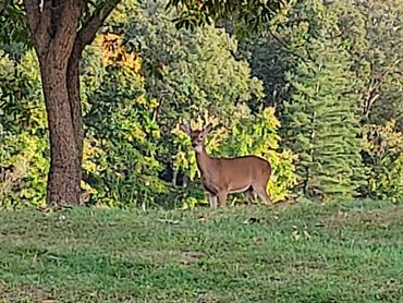 Gallery | Lake Helmerich Property Owner's Association