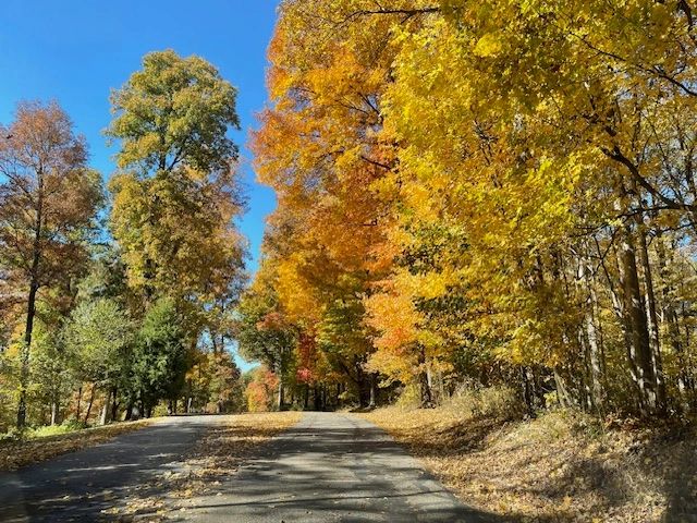 Calendar | Lake Helmerich Property Owner's Association