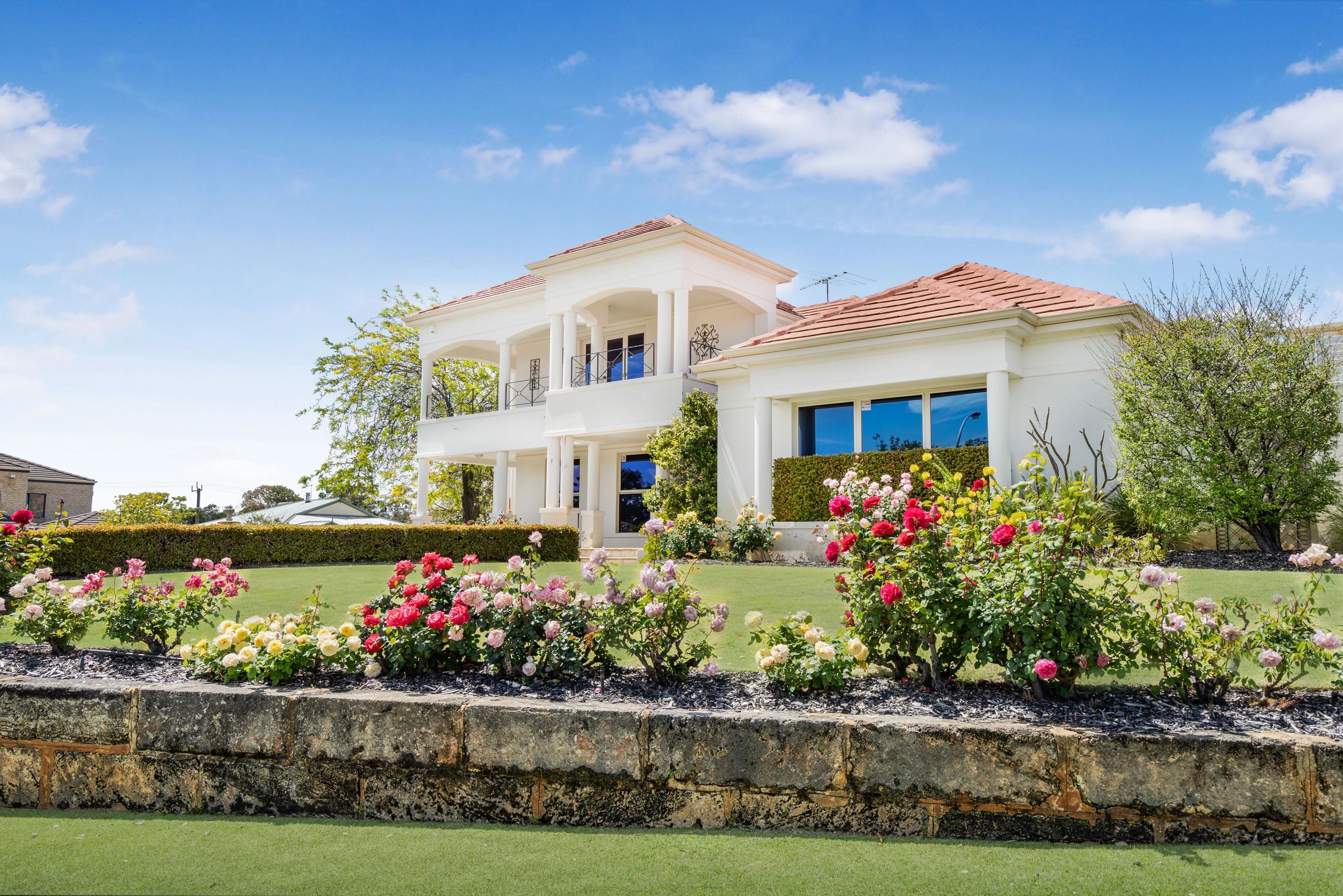 Our Story | ART LENZ