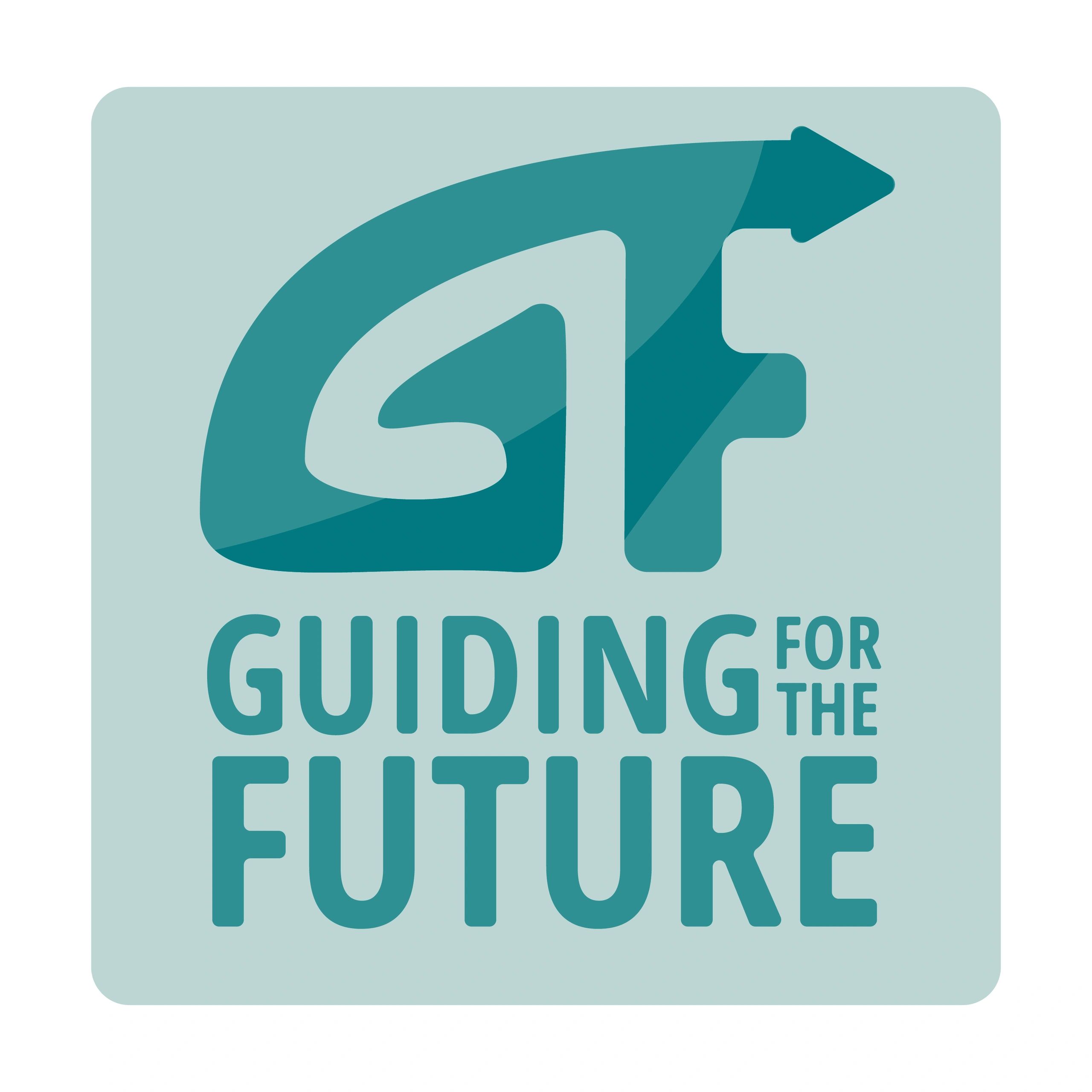 Guiding For The Future