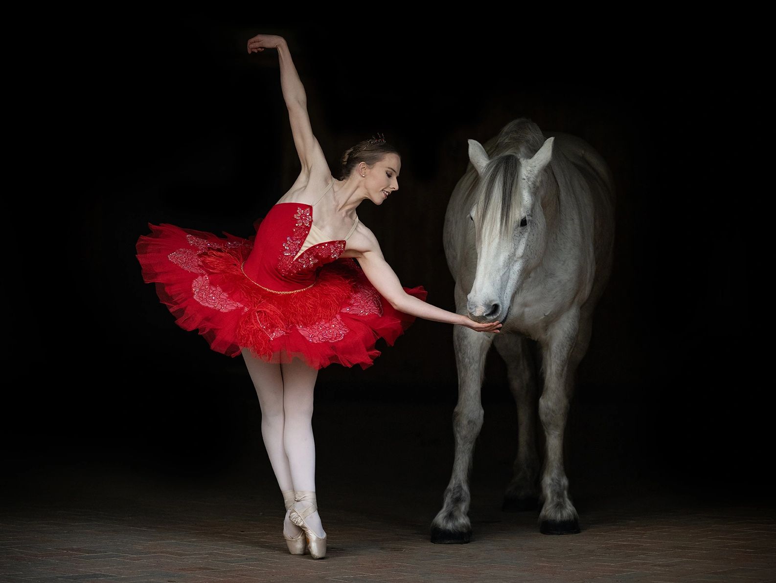 Fleur Ferguson Photogrpahy