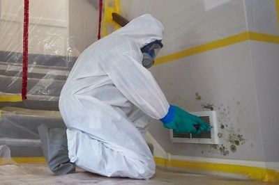 Mold Inspection | Mold testing | Certified Mold Assessor | Home Enviro ...