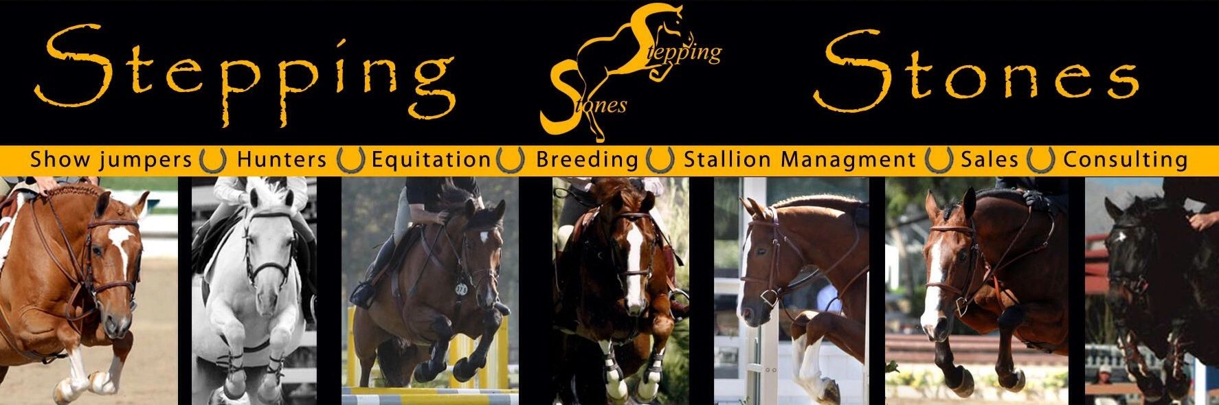 Stepping Stone Sporthorses