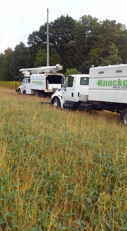 Knockout Tree Service