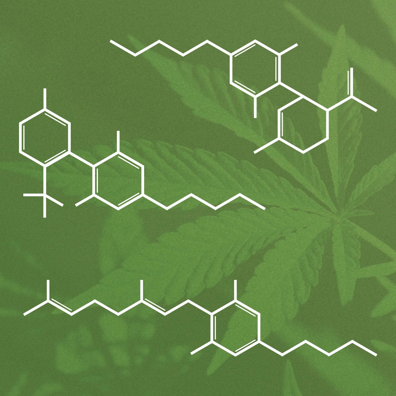 What is a cannabinoid and what do they do?