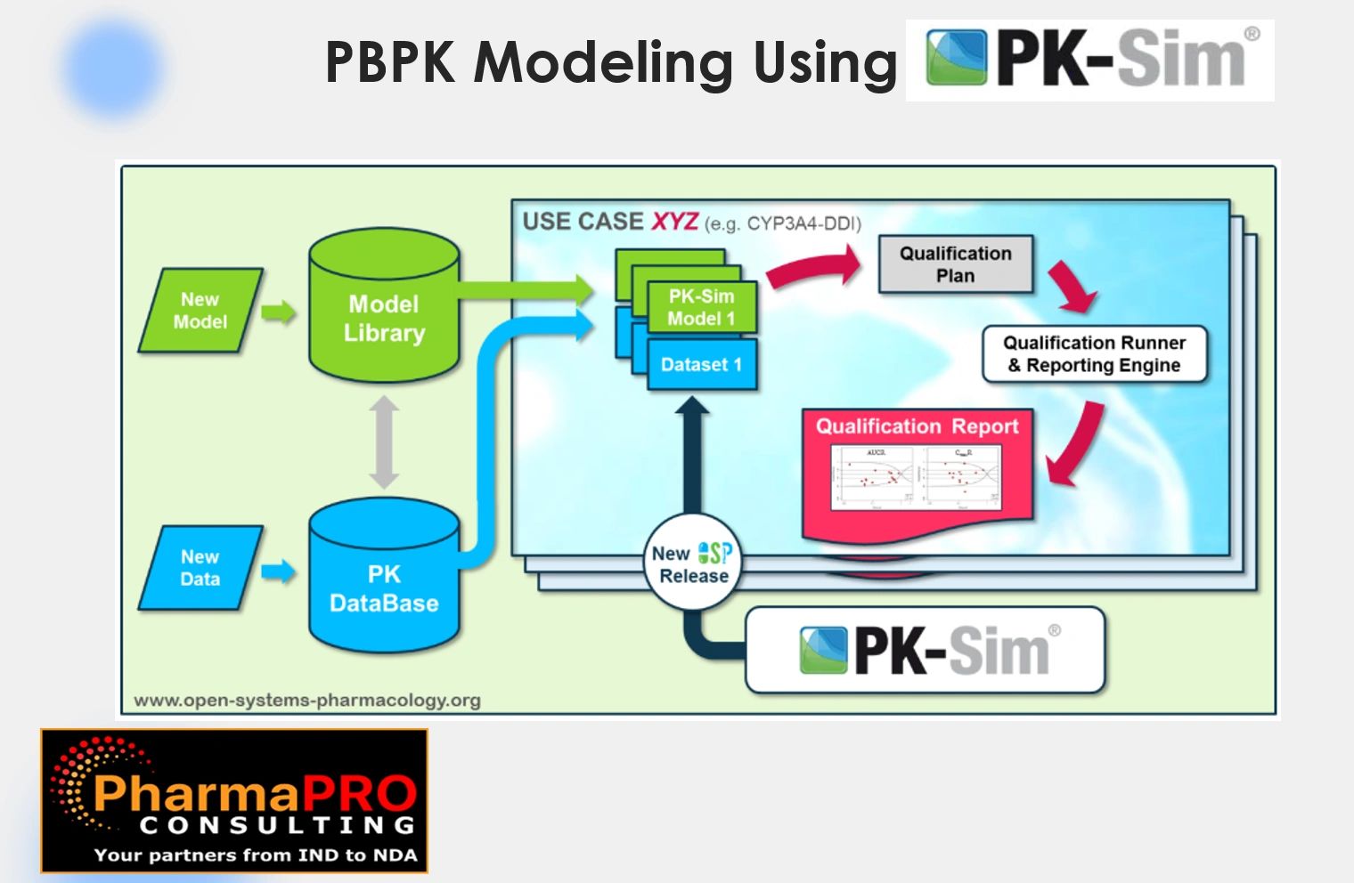 Physiologically based pharmacokinetic(PBPK) Modeling Using PK-Sim