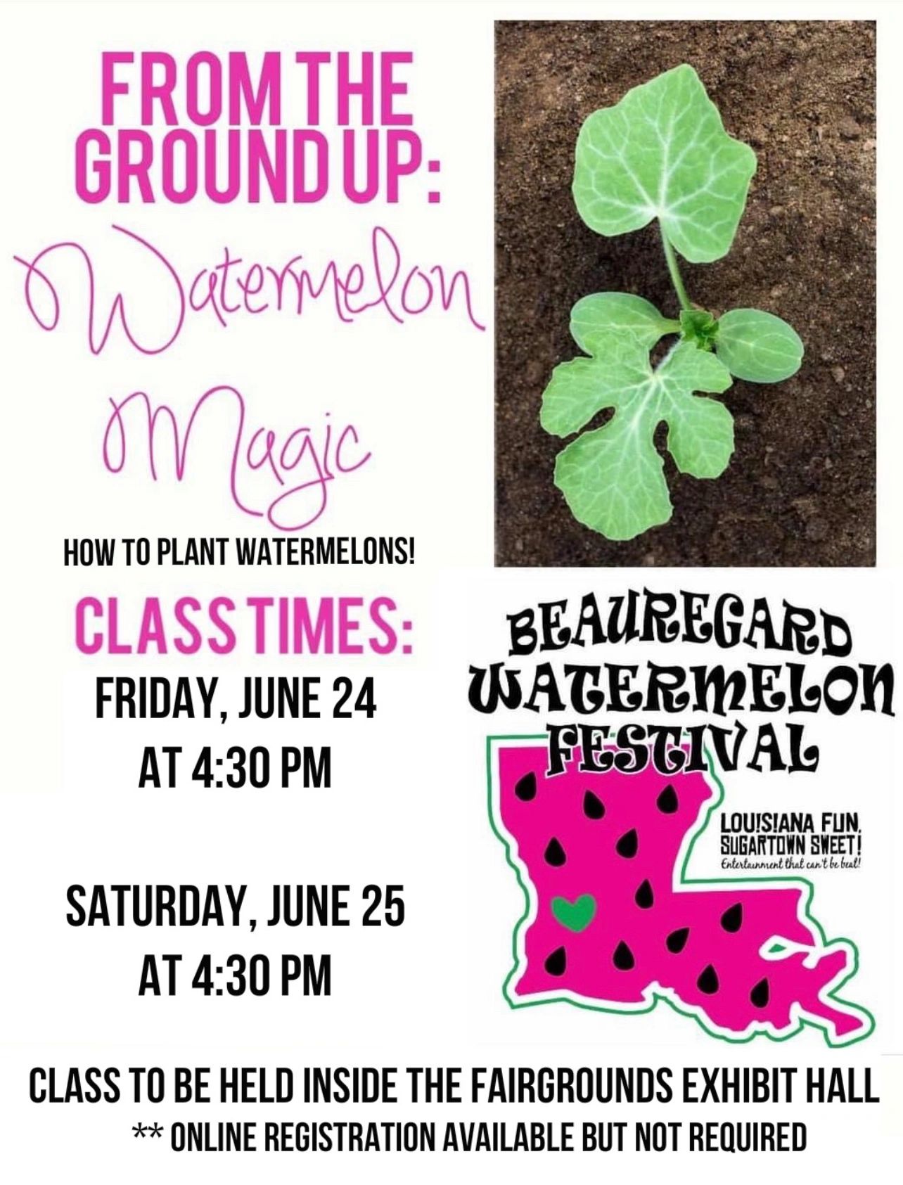 Watermelon Education