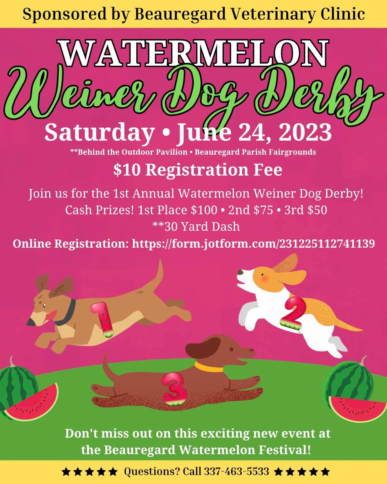 Weiner Dog Derby