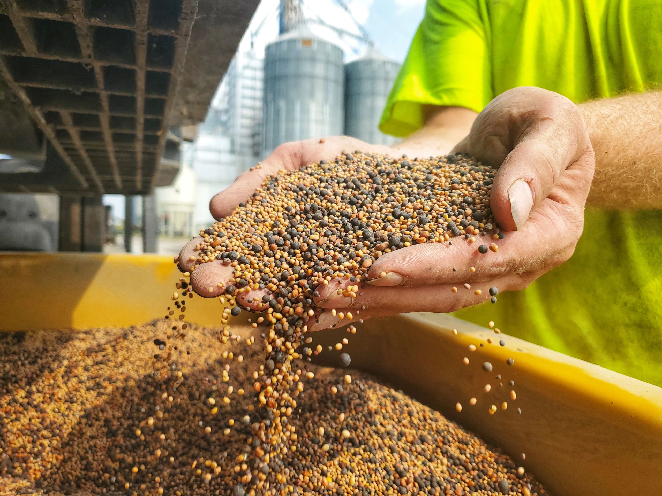 Growing and Milling Oats