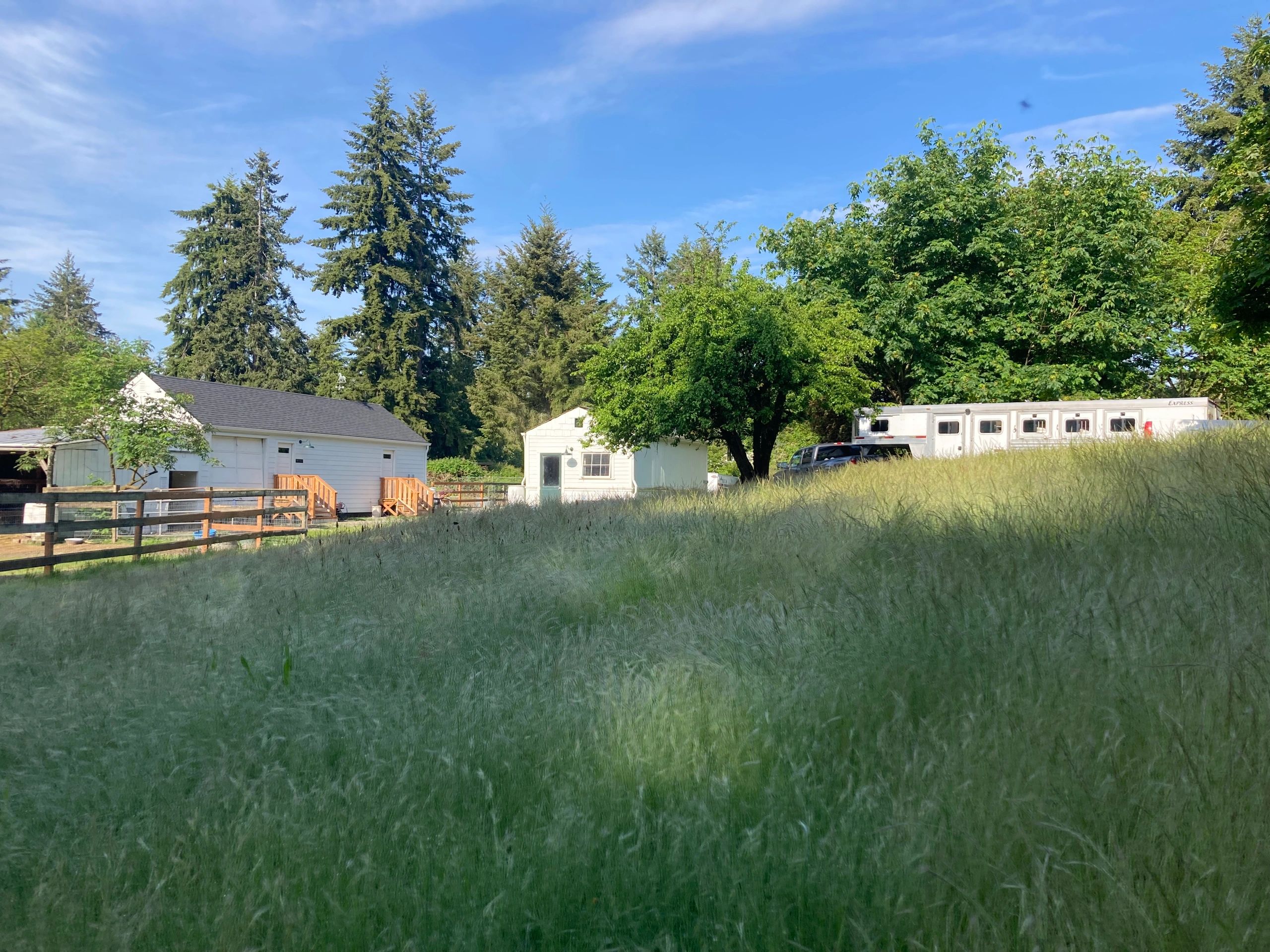 Good Grace Farm