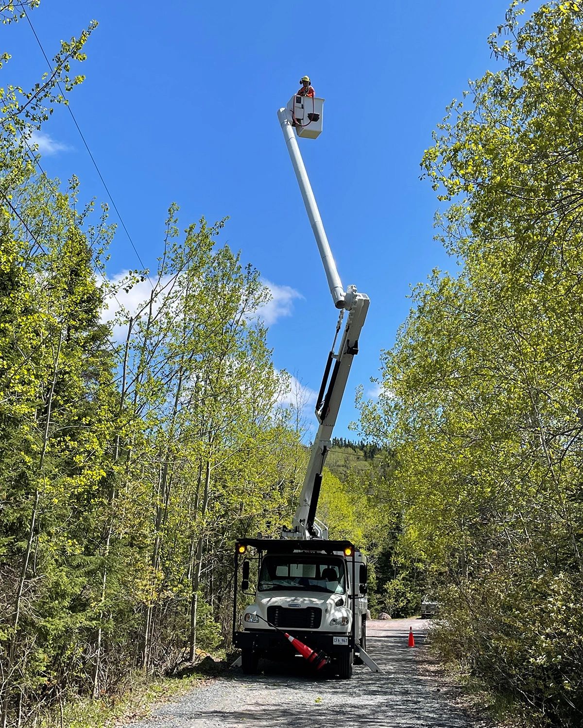 Eastern Tree Service