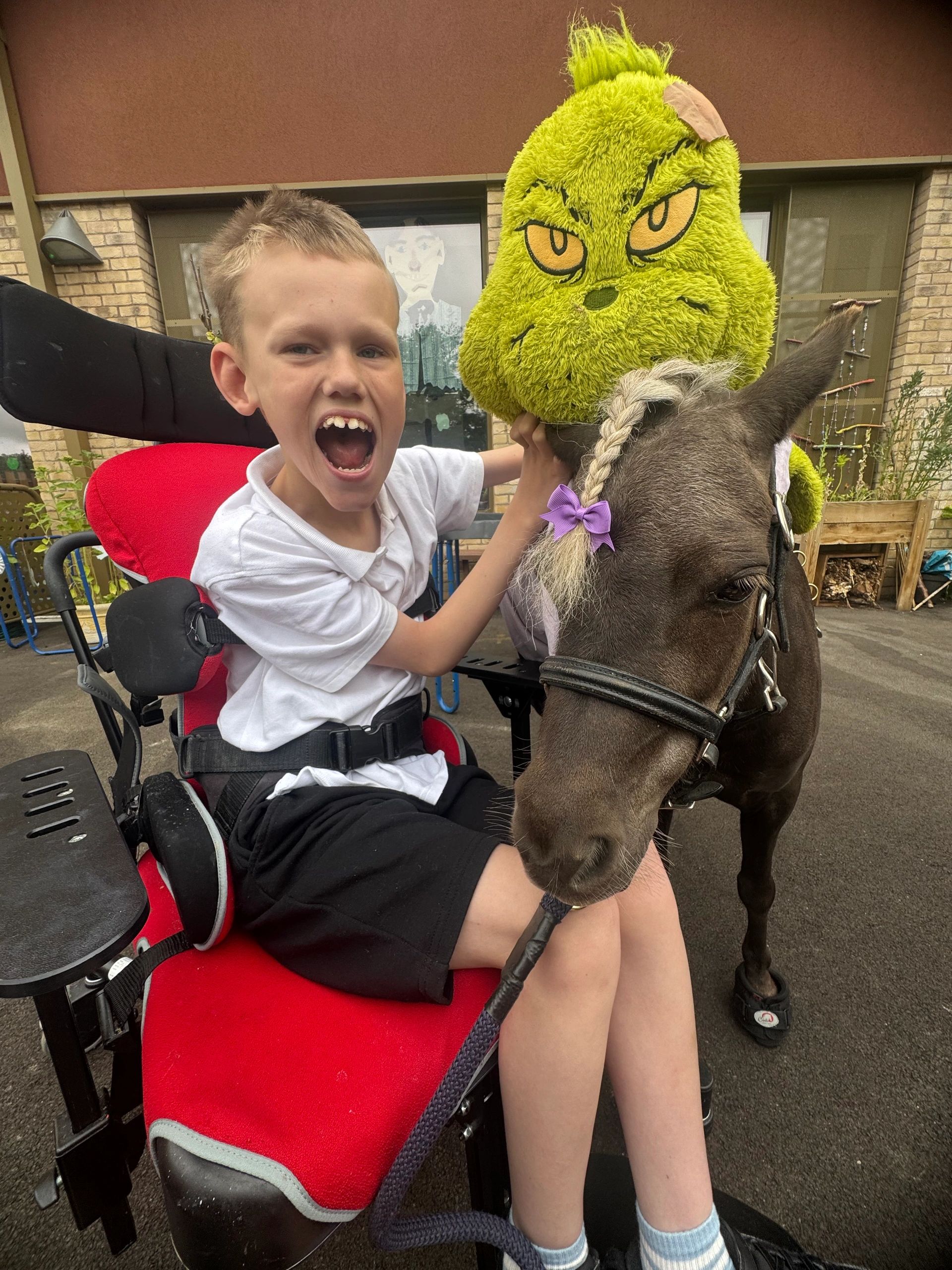 Happy Hooves Equine Ltd