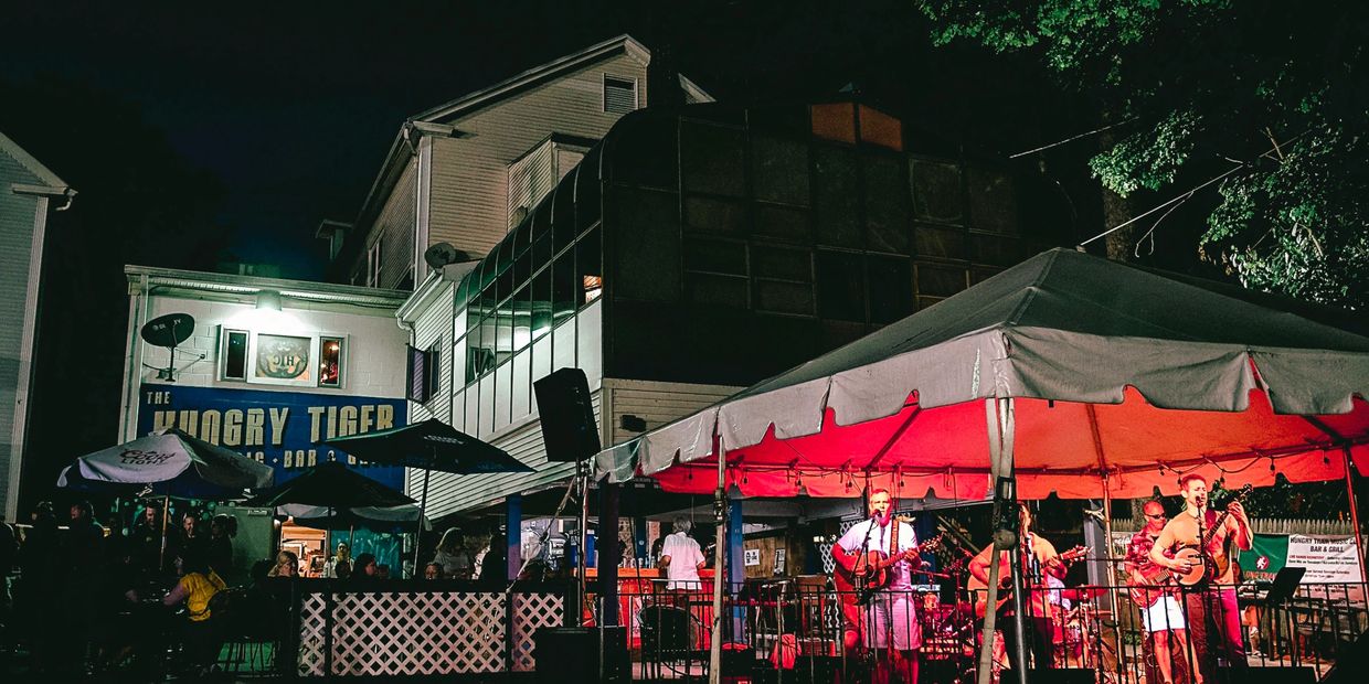 The Silver Fox String Band