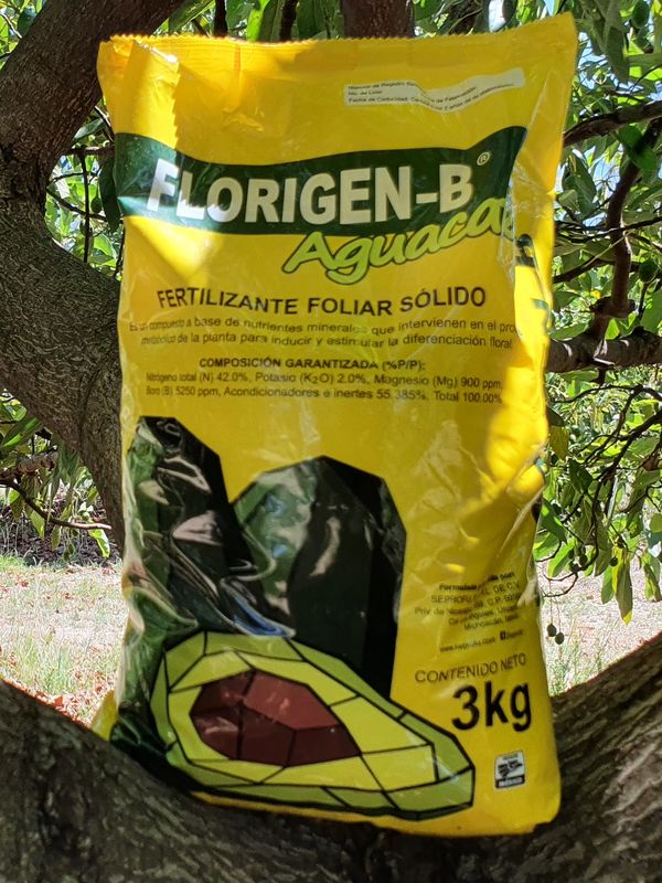 FLORIGEN-B | SEPROFU S de RL de CV