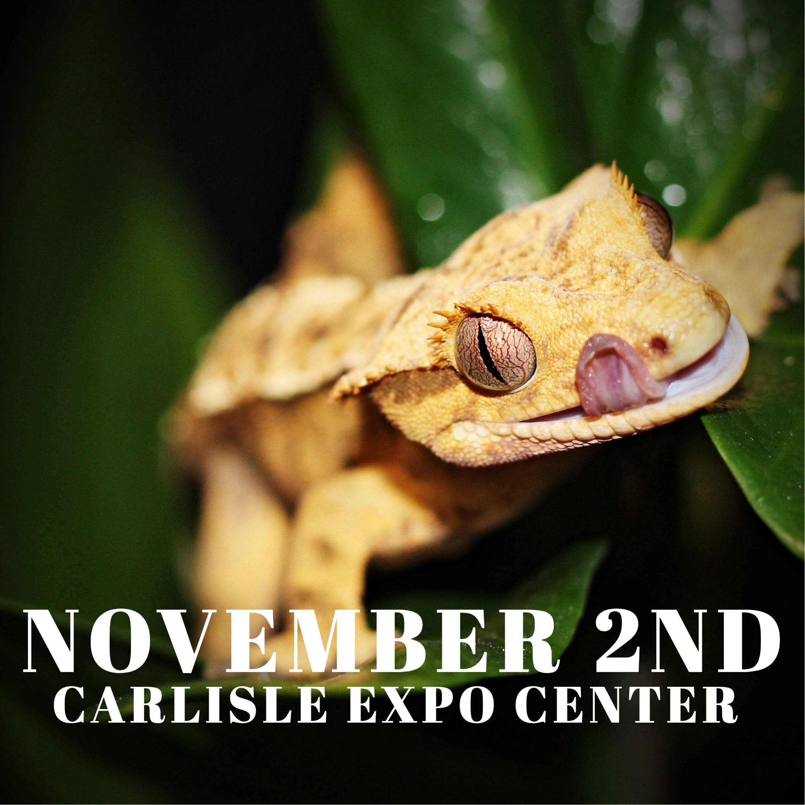 Mid-Atlantic Reptile Expo