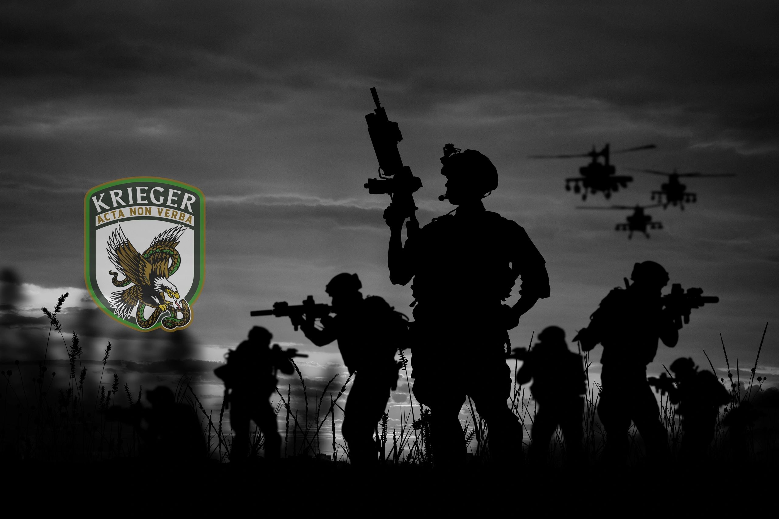 Krieger - Veteran & First Responder Gaming and Mental Health Support ...