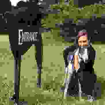 Greyhound Angels Adoption - Home