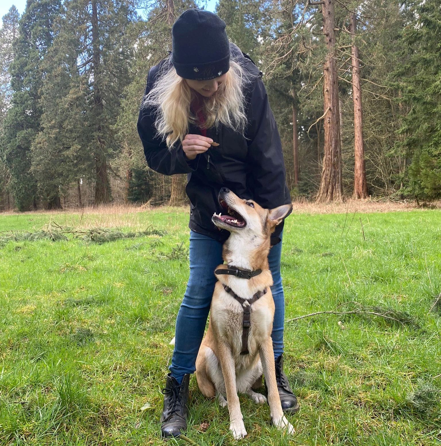 About us | ABDogSchool