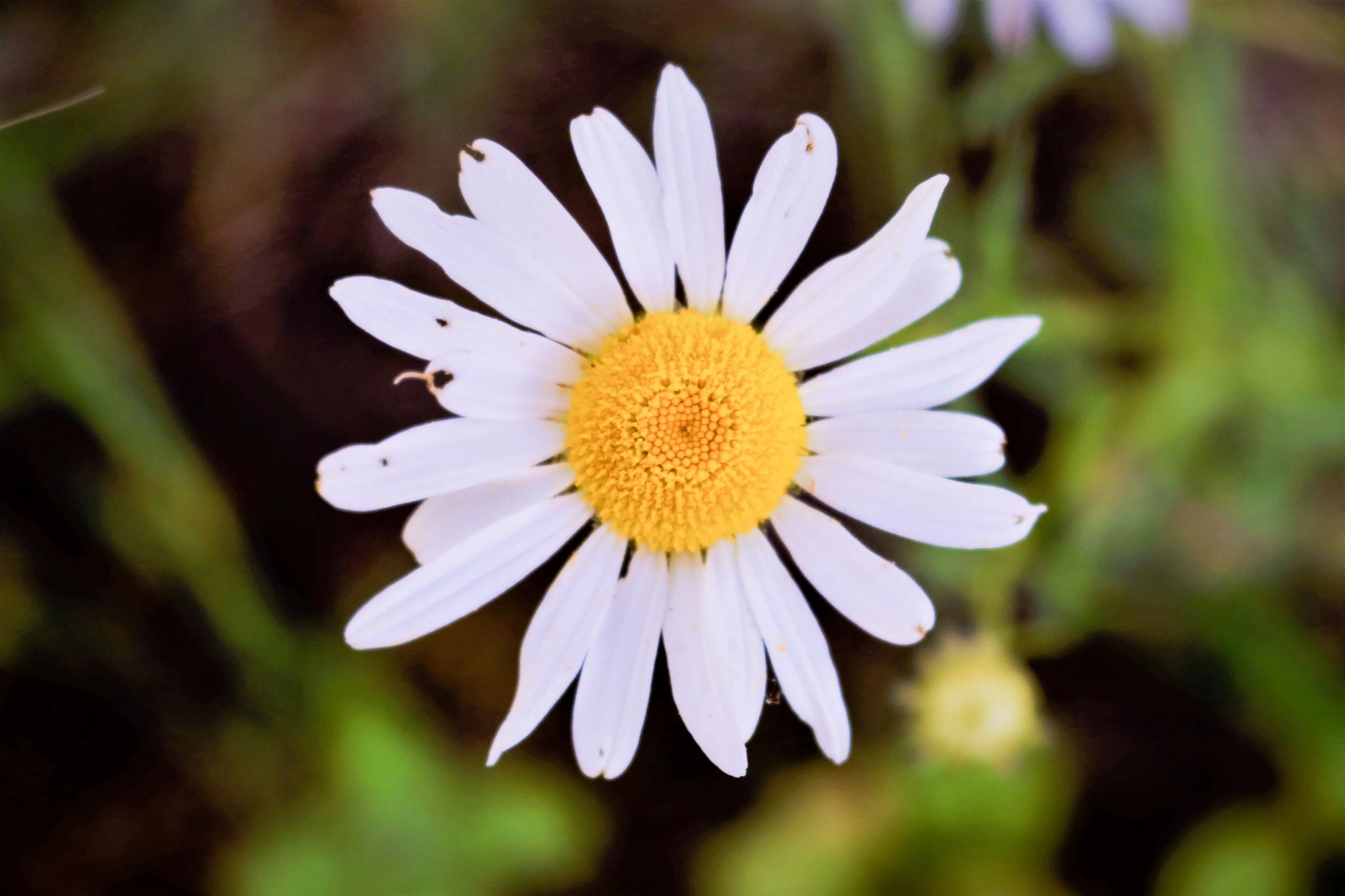 Mckenzie Toth Photography