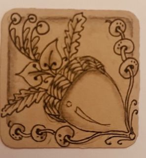 Zoom The Amazing Acorn