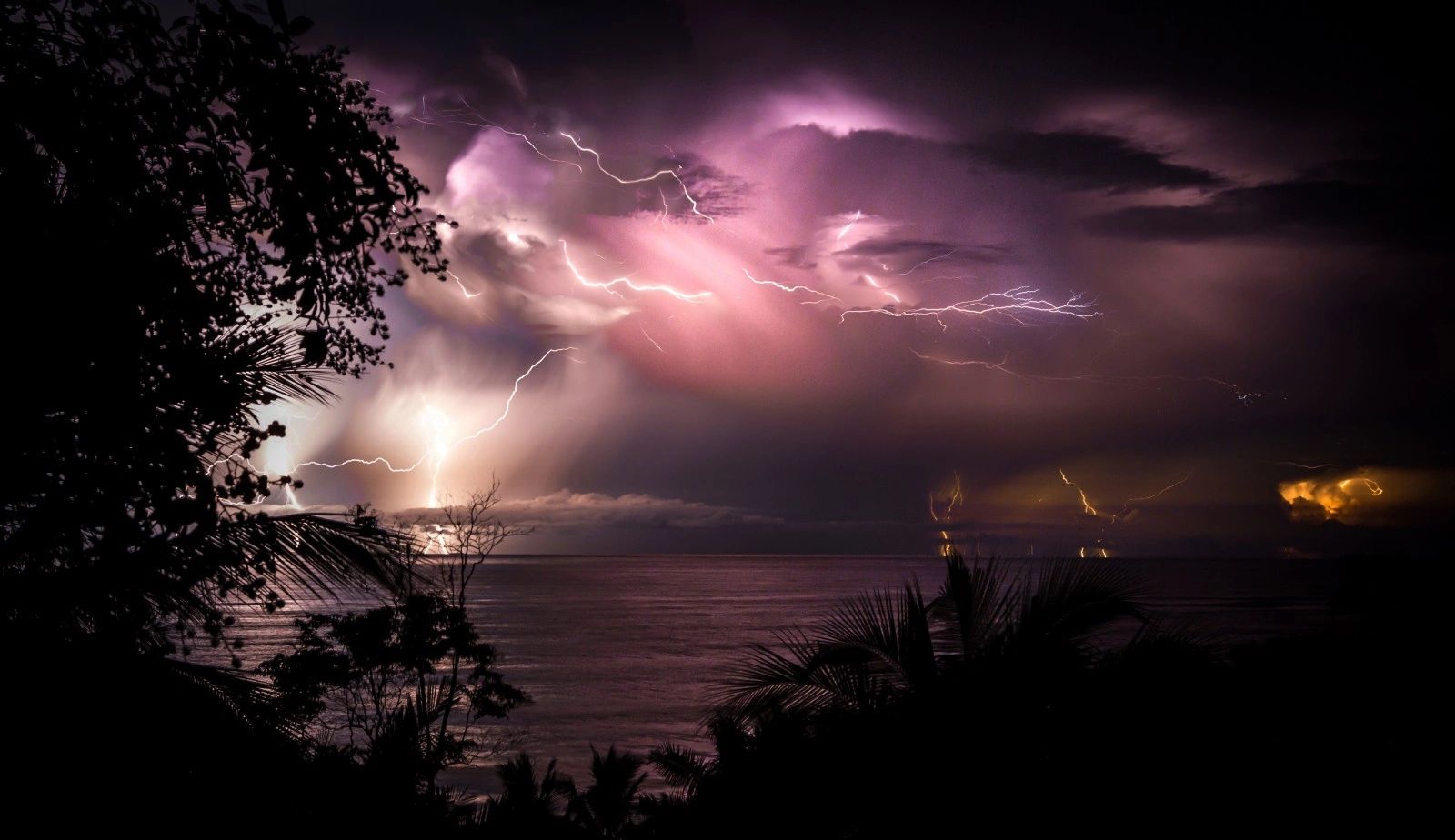 Midnight-thunder