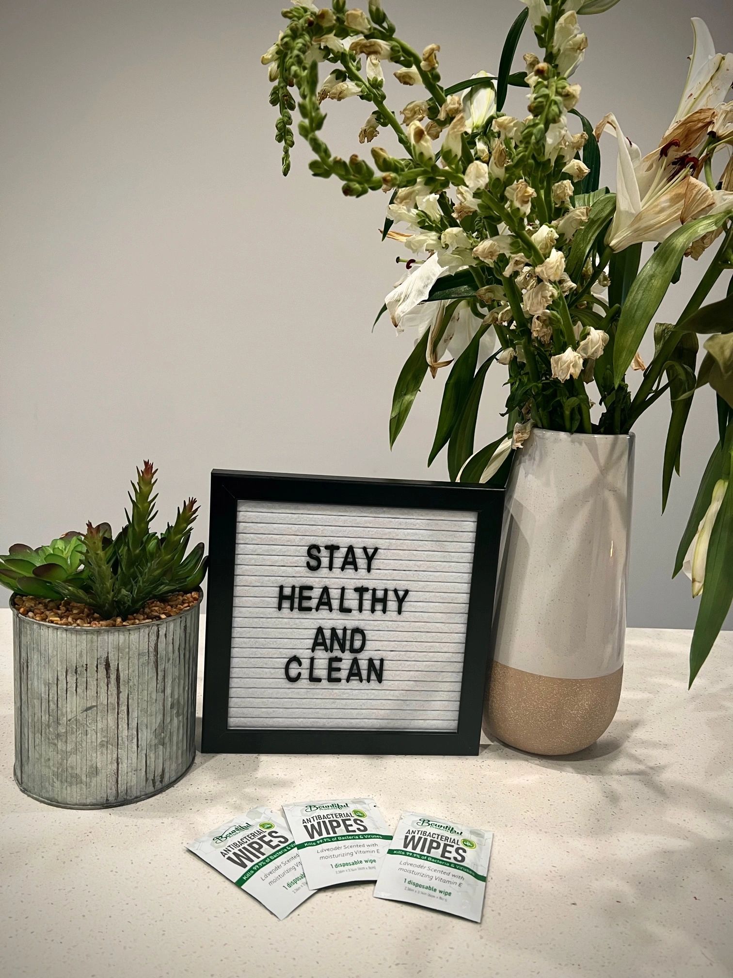 Bountiful Products - Antibacterial Wipes, All Natural