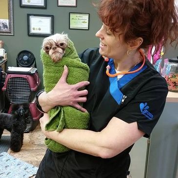 Barks n' Bubbles Pet Spa INC. - Dog Grooming, Daycare, Dog Boarding