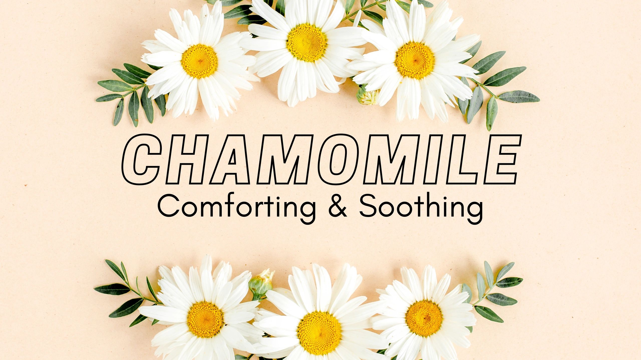 Top 10 Health Benefits of Chamomile Tea