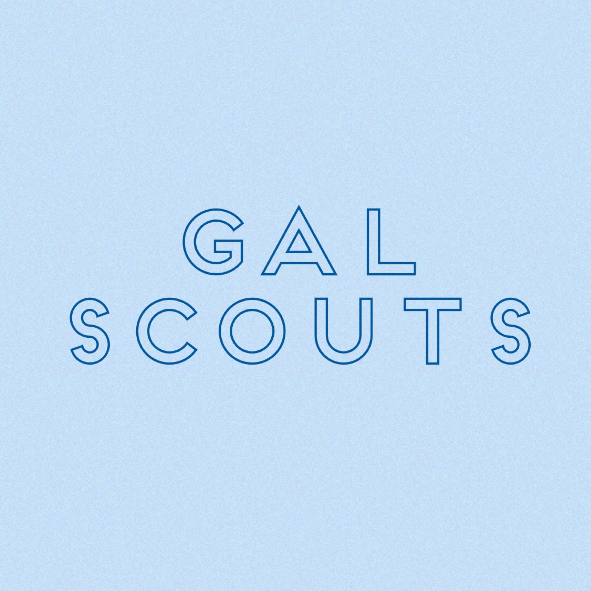 GAL Scouts - Home