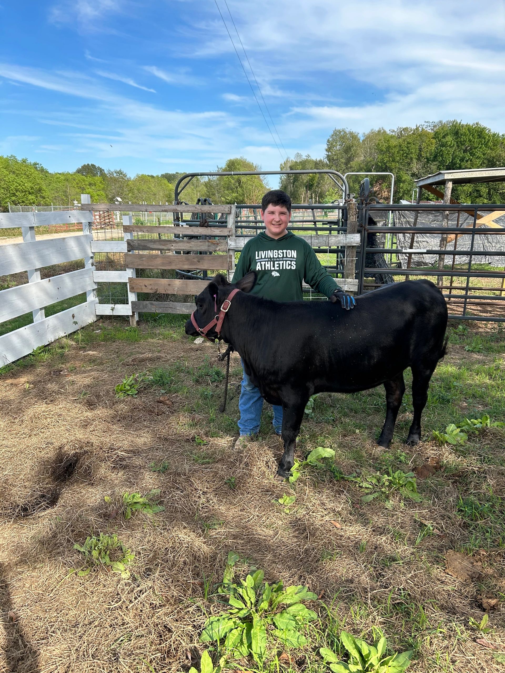 Sanderwood Farm and Cattle Company