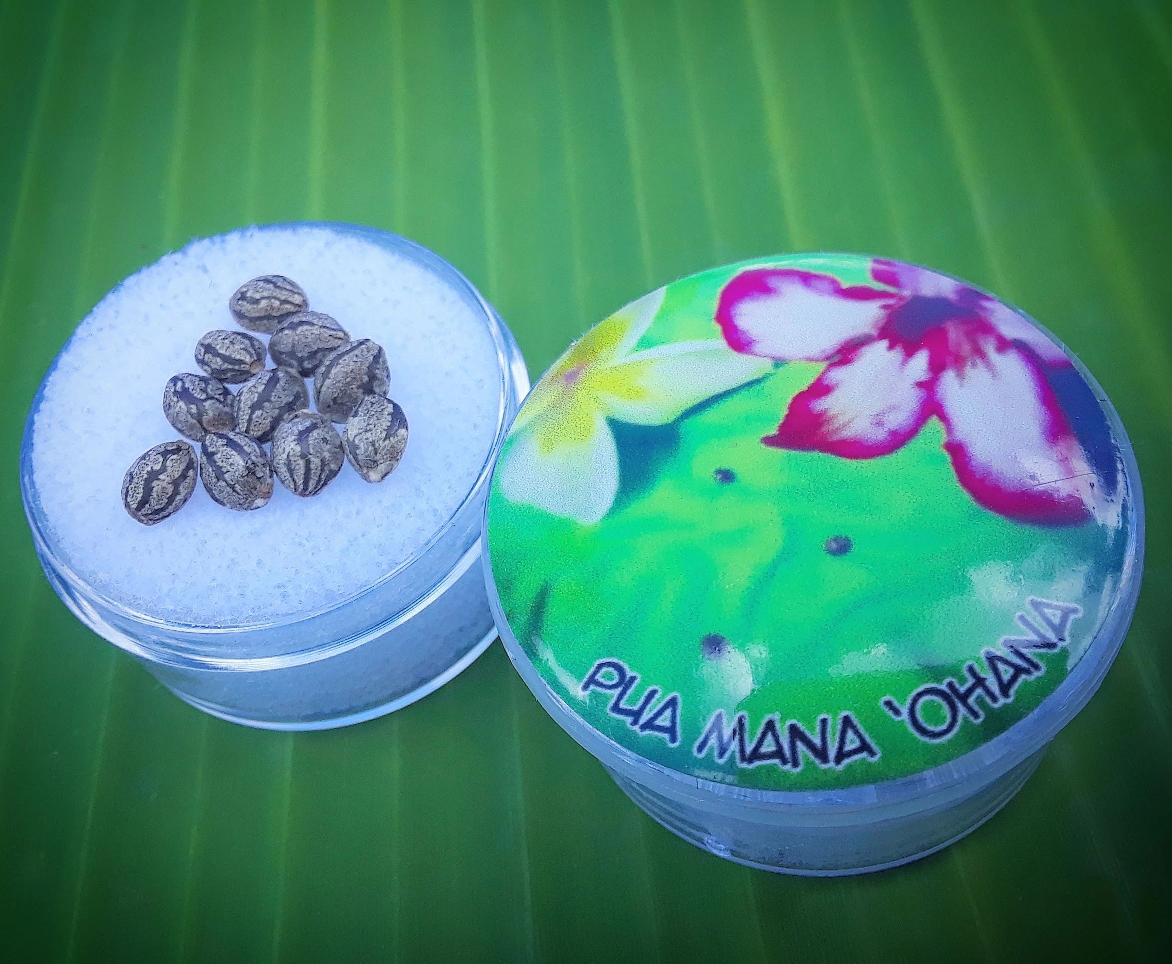 Pakalōlō Breeding Terminology