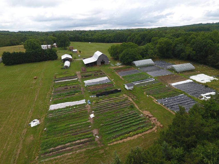 Local Produce Box - Dinner Bell Farm | Dinner Bell Farm