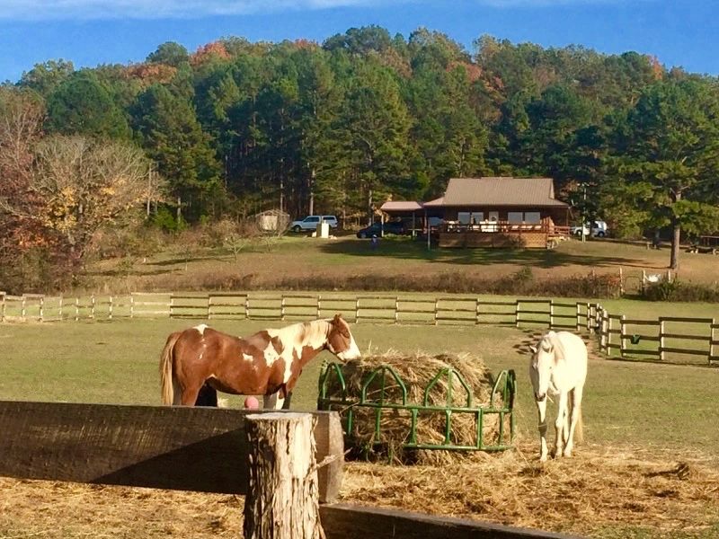 Patty Creek Farm B & B