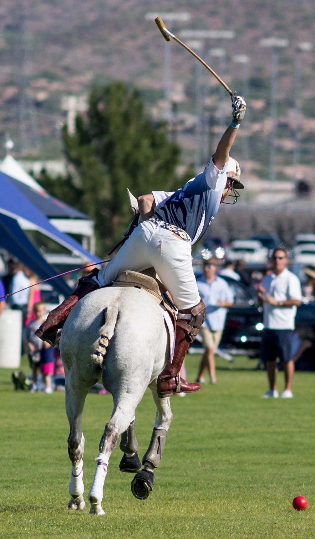 ARIZONA POLO CLUB