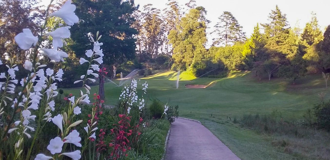 Golf Course Construction | Proscape Projects