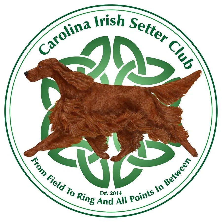 Carolina Irish Setter Club - Irish Setters, Dog Club, Dog
