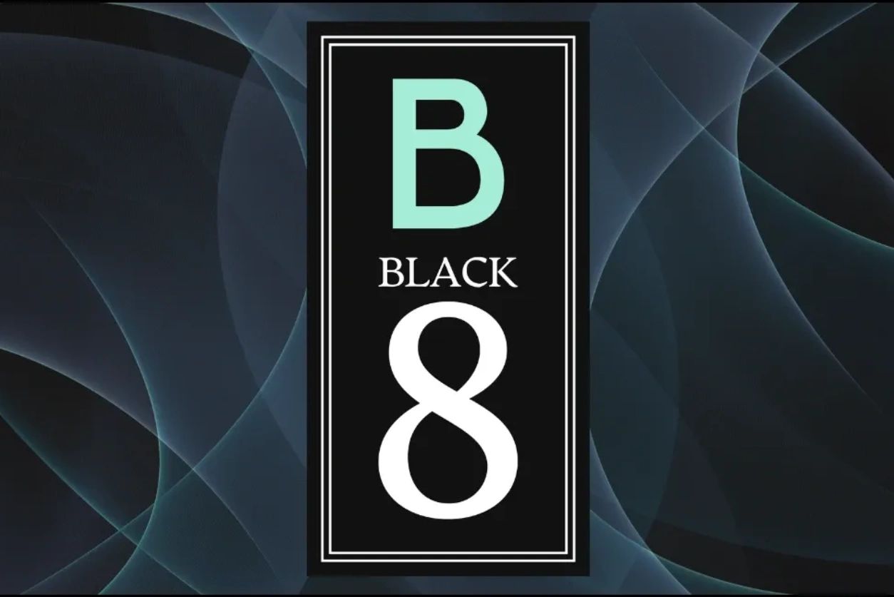 Our Vision Canadian Market Viability - Black 8 Consulting