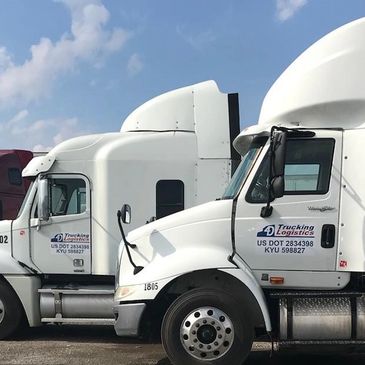 4D Trucking & Logistics, Inc,