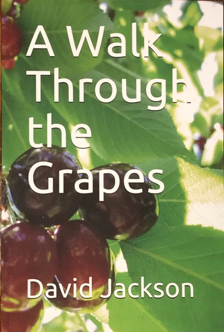 Author David Jackson