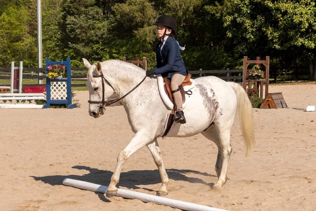 Rula Equestrian Services