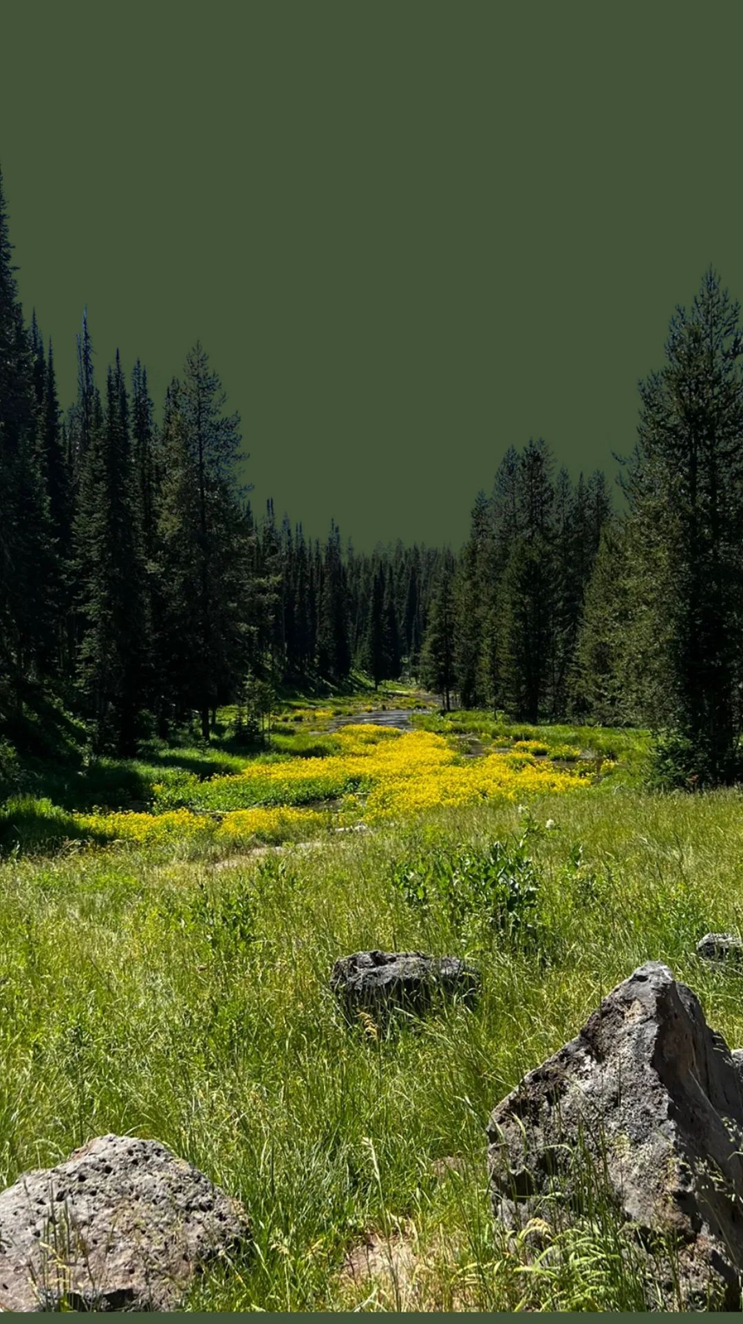 River Shuttle Service | Yellow Sally River Shuttle