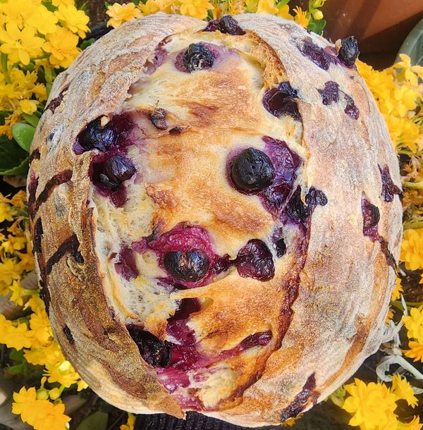 Heritage Rise Sourdough