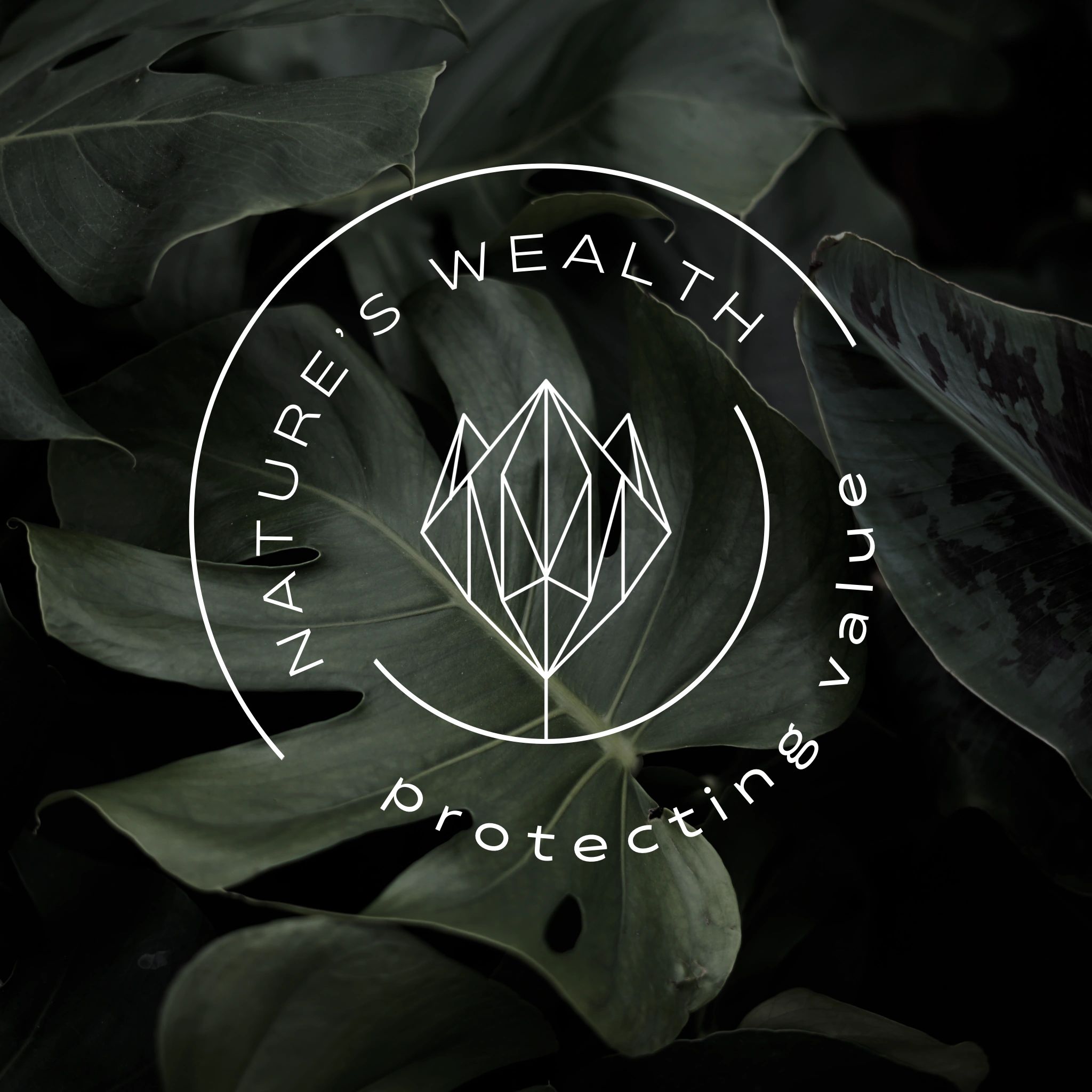 About | Nature's Wealth: Natural Resources Consulting Services