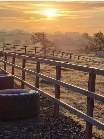 Higher Farm Education